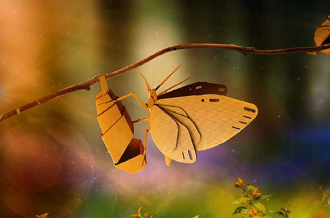 Smurfit Westrock | A global leader in sustainable packaging